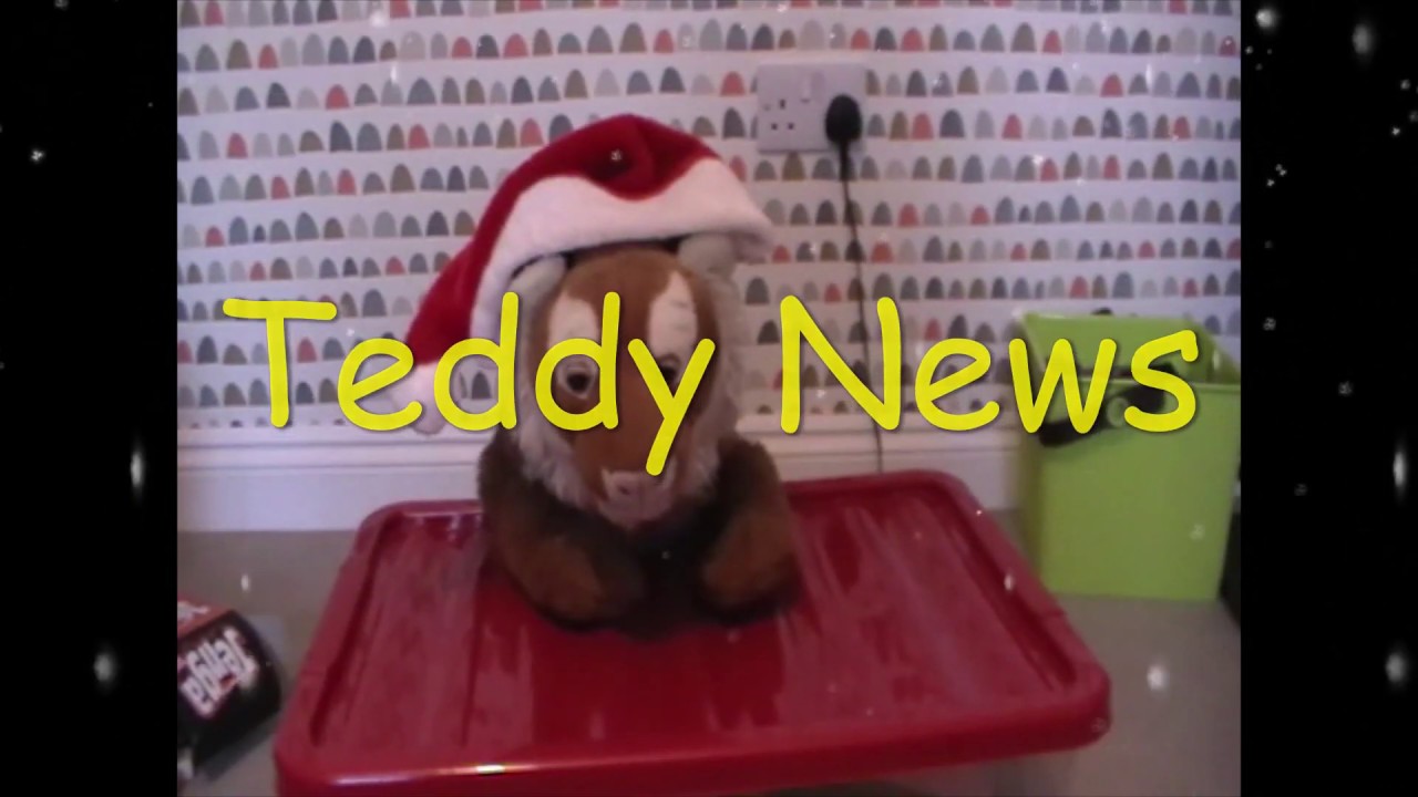 Teddy News Episode 3 Xmas Special - YouTube
