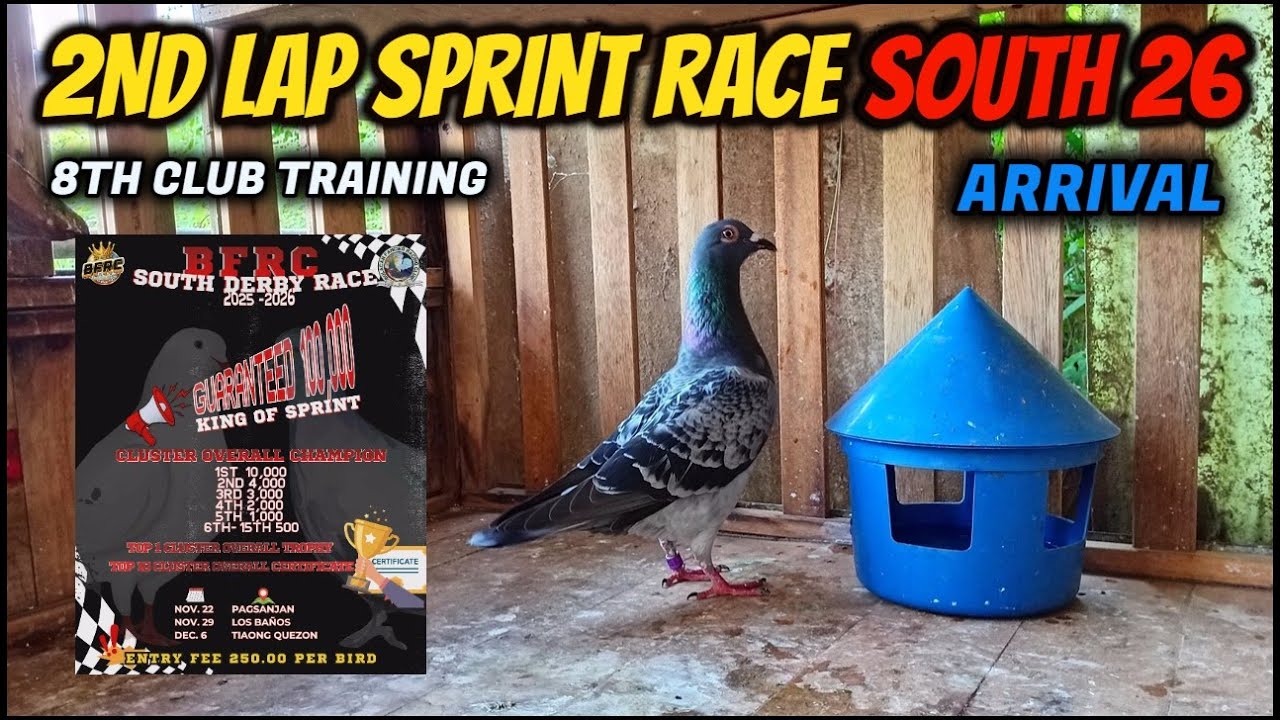 2ND LAP SPRINT RACE SOUTH 26 8TH CLUB TRAINING SOUTH 26 ARRIVAL - YouTube