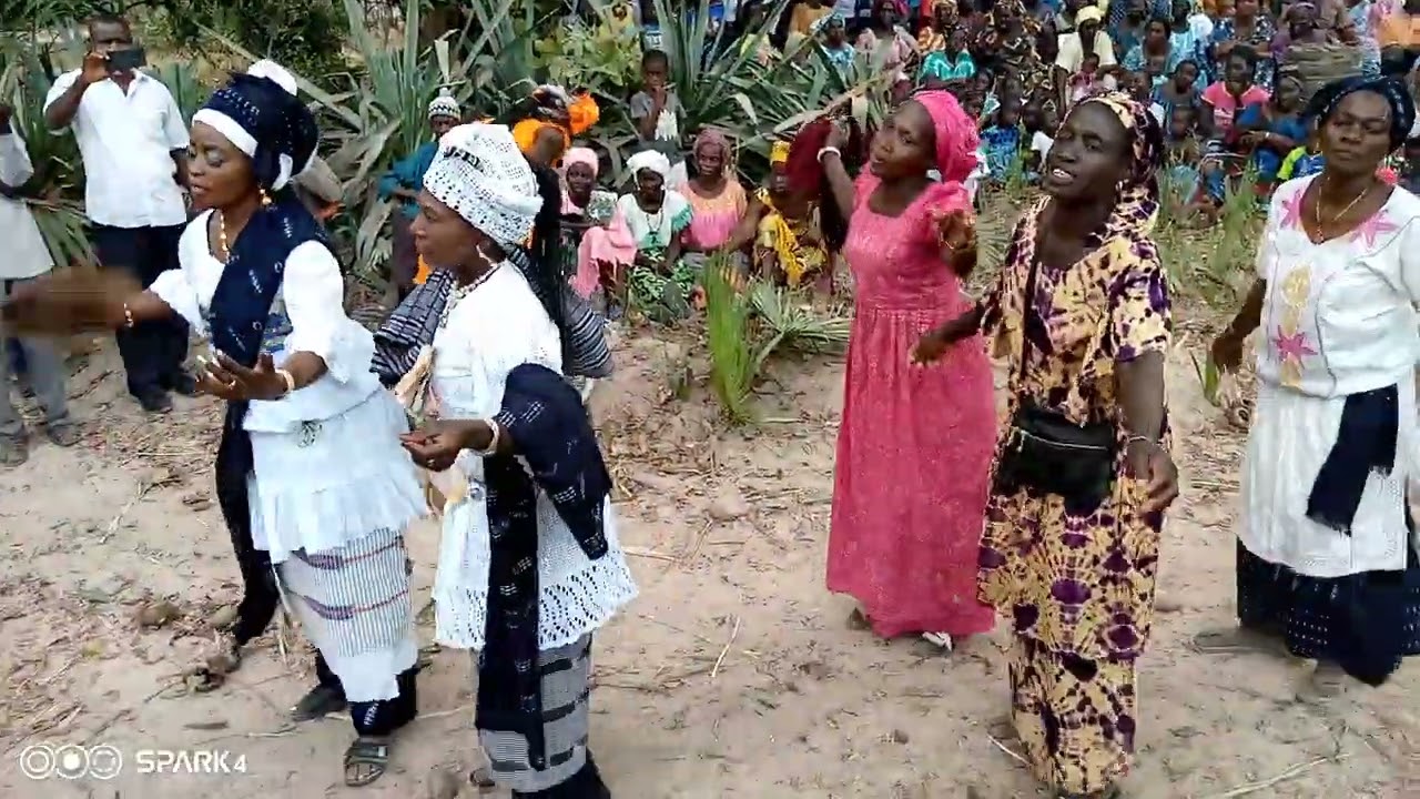 Spécialisation culturelle et dance traditionnelle au milieu Kassa - YouTube