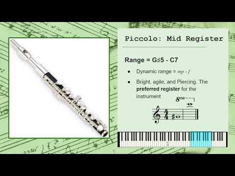 How to Use the Piccolo | Instrument Profiles - YouTube
