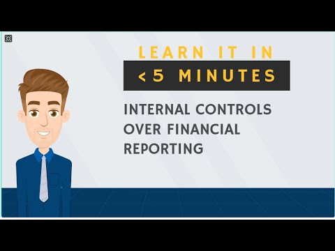Internal Controls over Financial Reporting - YouTube