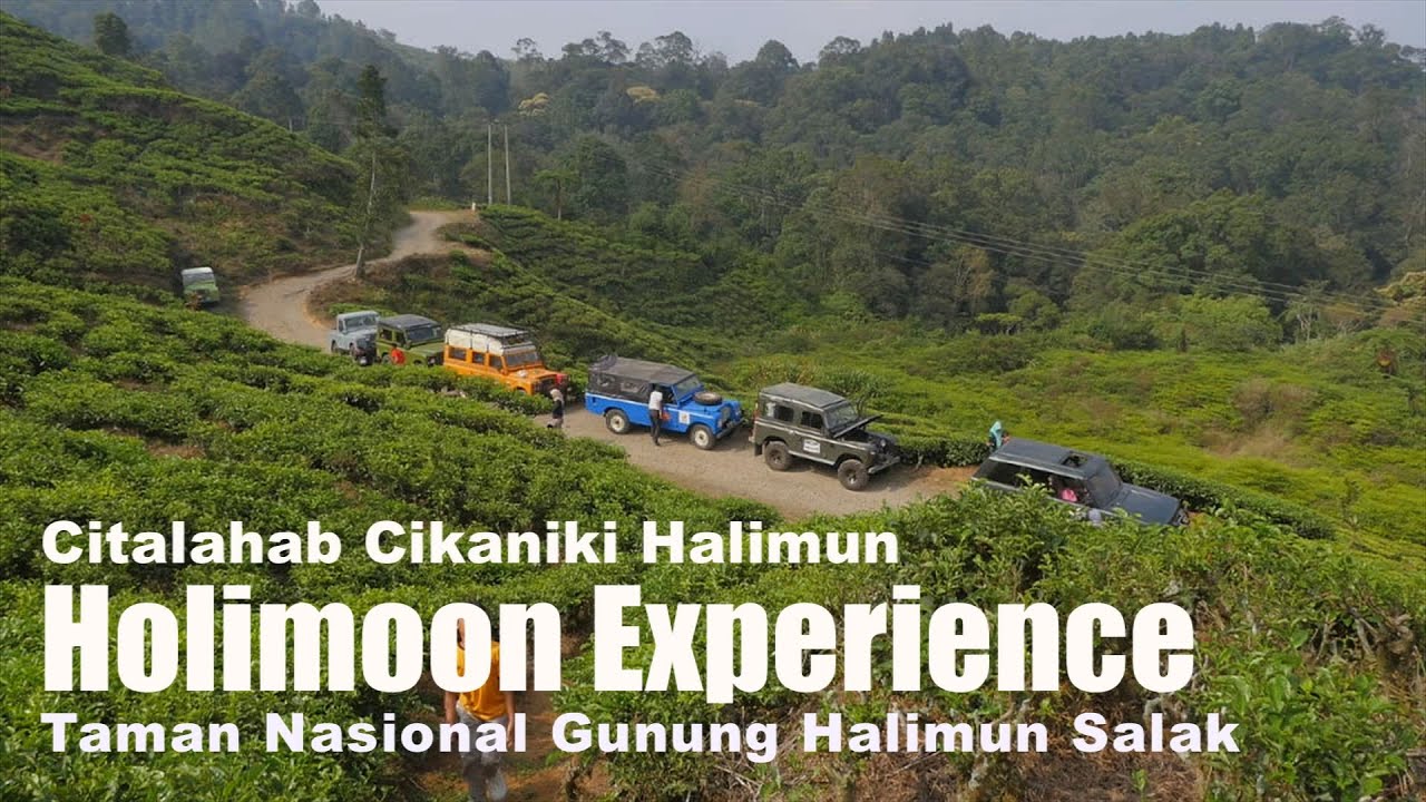 Citalahab Cikaniki Taman Nasional Gunung Halimun Salak | Land Rover ...