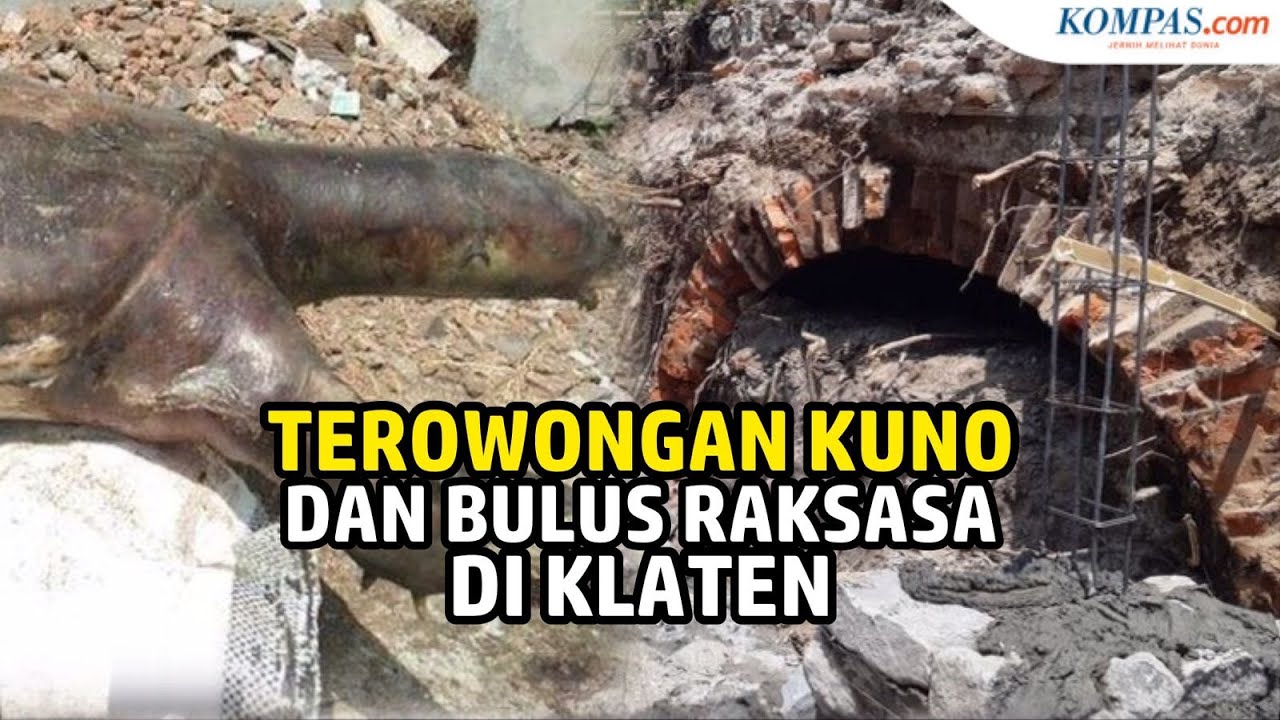 Warga Klaten Temukan Terowongan Kuno Zaman Belanda, Ada Bulus Berukuran ...