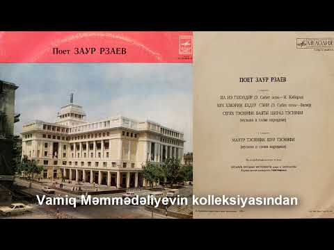 Zaur Rzayev - Segah təsnifi