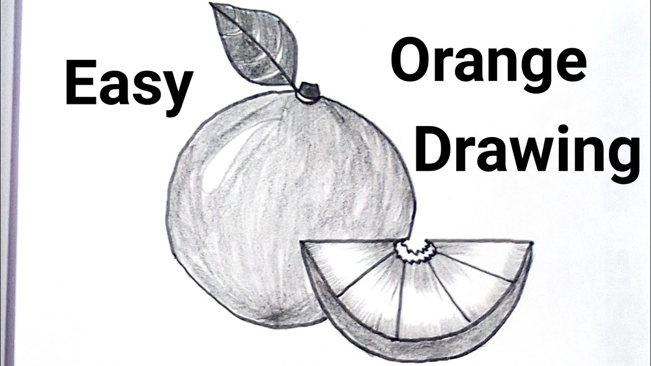 How to draw orange 🍊step by step. Easy orange 🍊drawing ...