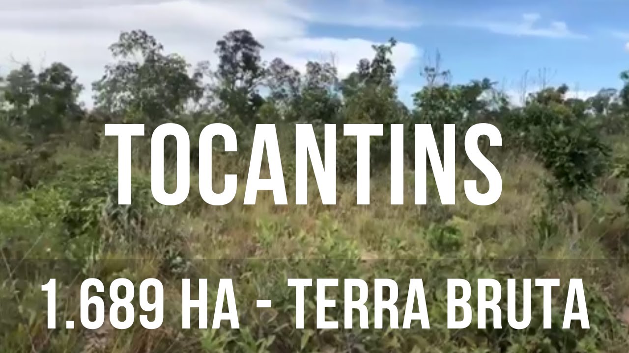 1.689 HA BRUTOS, 50% AGRICULTÁVEIS, 15% PASTO, RIO MÉDIO PORTE PRA PIVÔ - VENDA DE FAZENDA ...