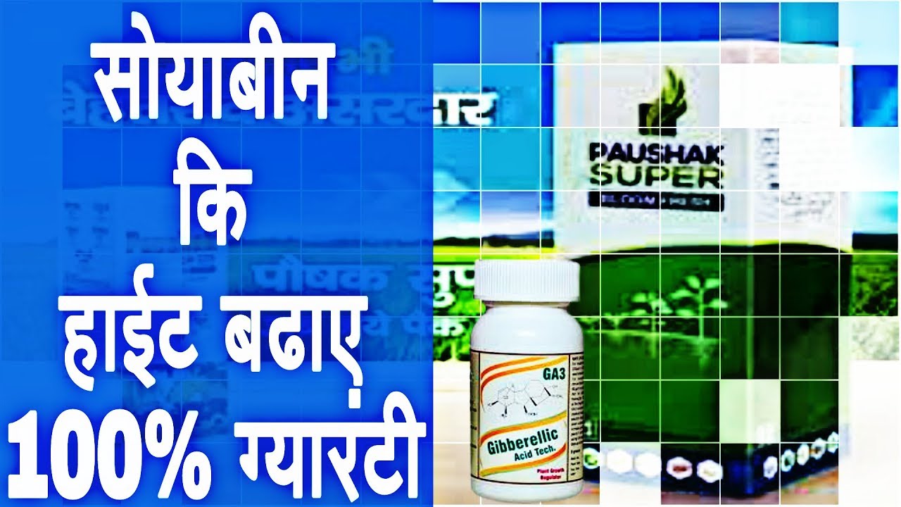 Paushak super tonic | zibrelic acid - YouTube