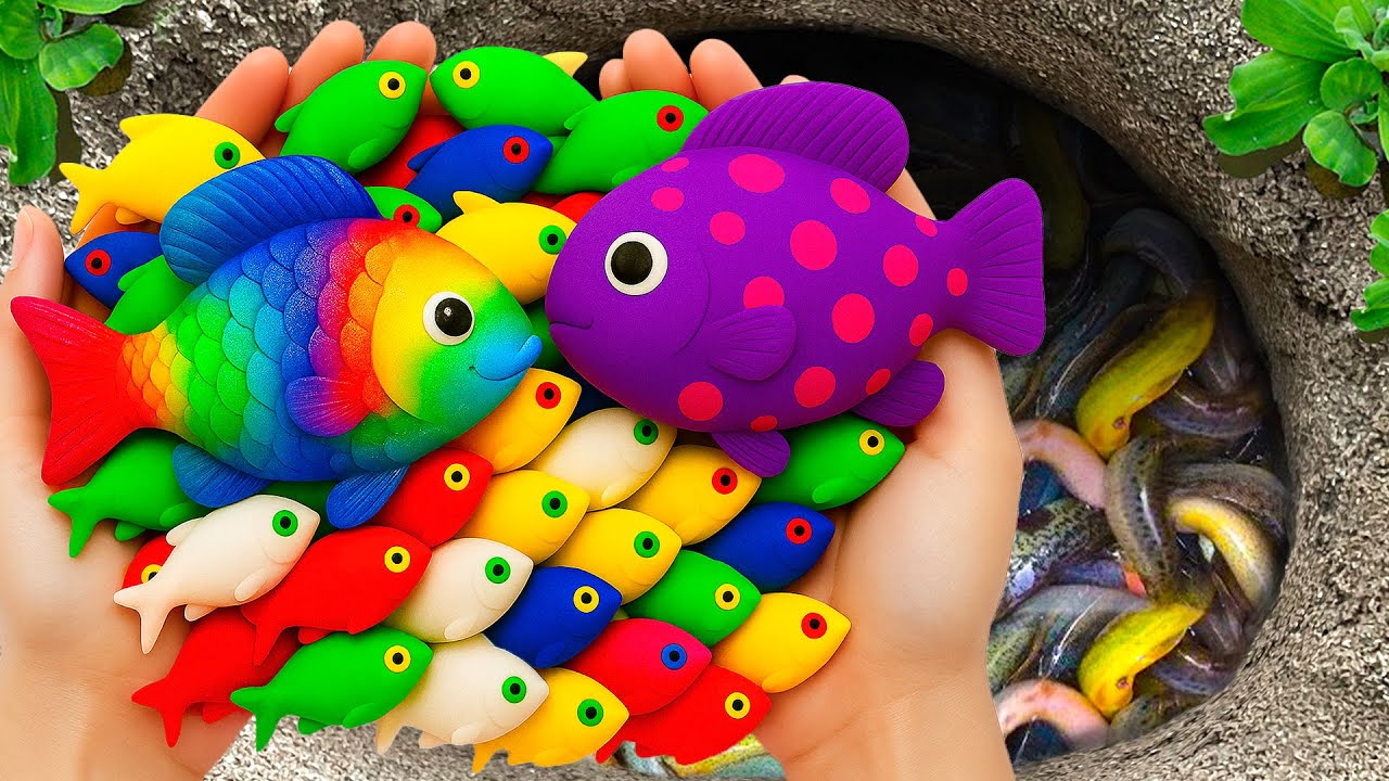 Catch Beautiful Ornamental Fish in Flood Fields, Crayfish, Metal Guppy ...