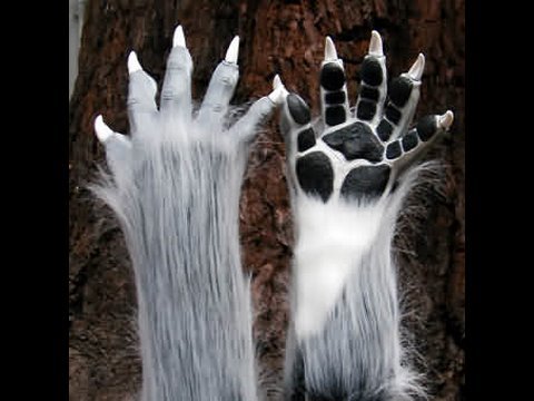 Realistic Werewolf Claws