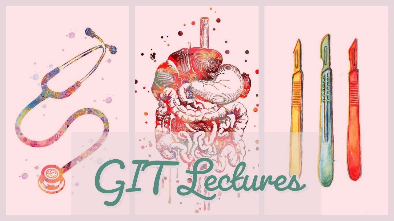 GIT PATHOLOGY lecture 24 HEMORRHOIDS learn fastly - YouTube