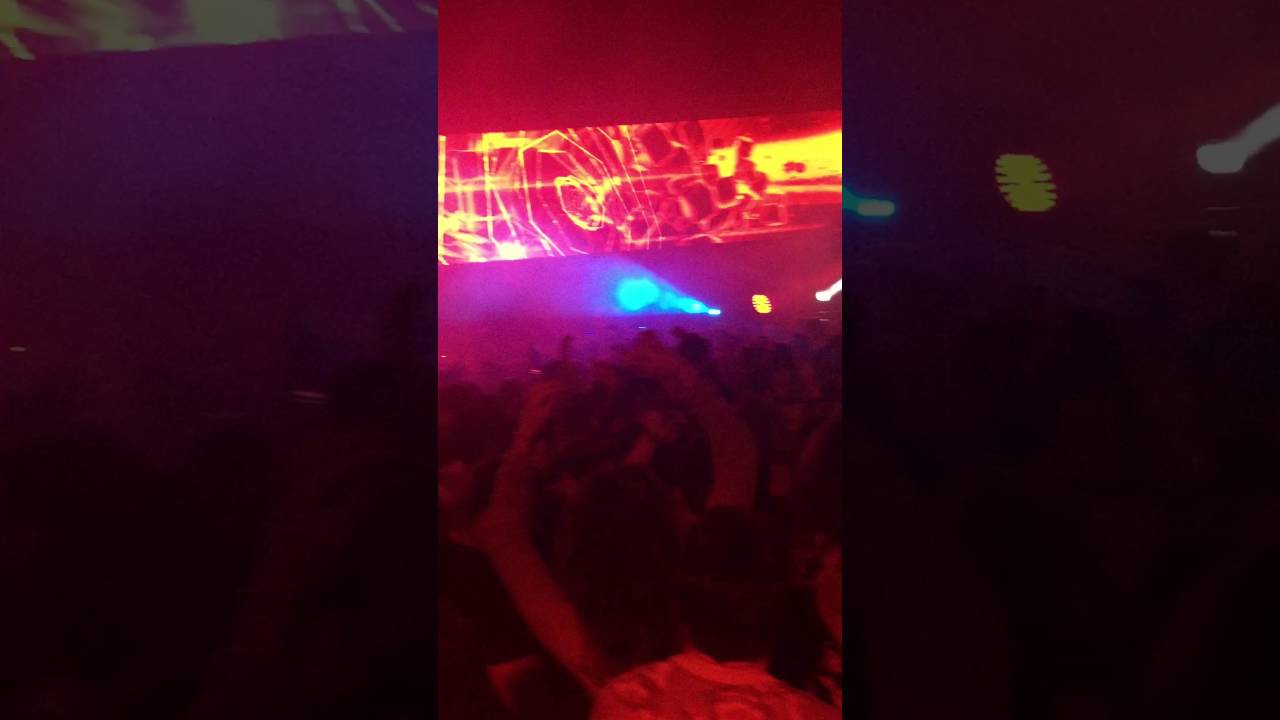 5 Years Of Fuse London Records Terrace Rave - YouTube