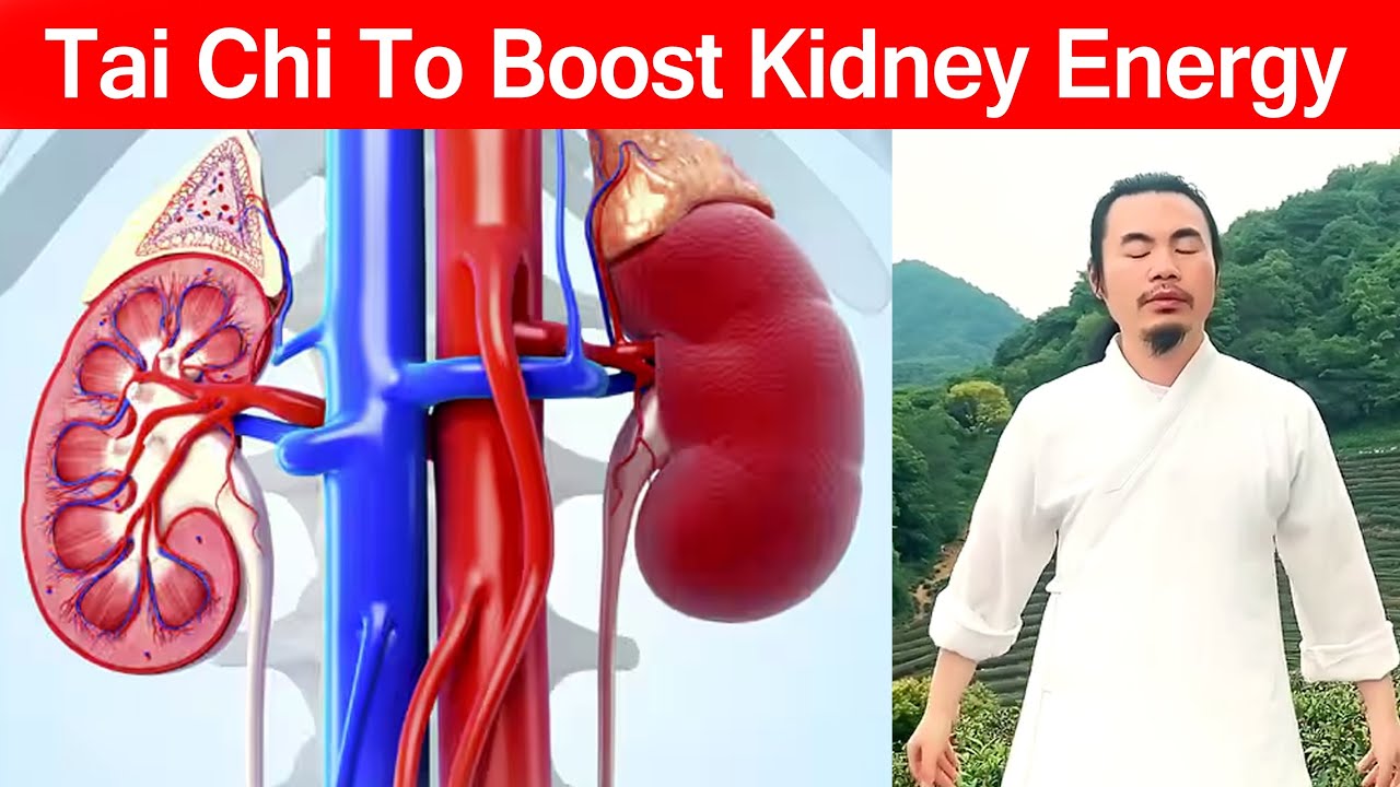 Tai Chi Techniques to Enhance Kidney Energy | Improve kidney function ...