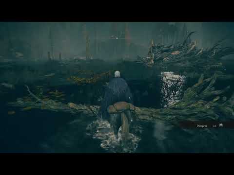 Elden Ring DLC Great Katana Location !!