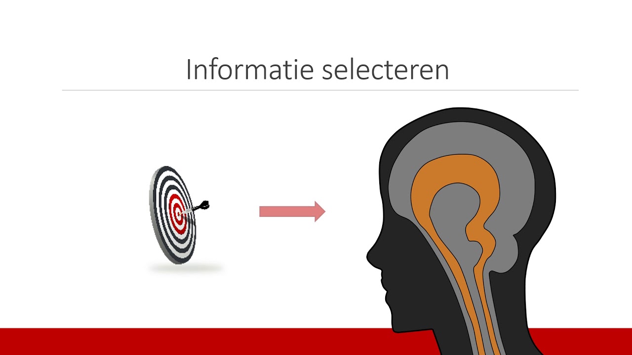 Kennisclip het Leerproces - YouTube