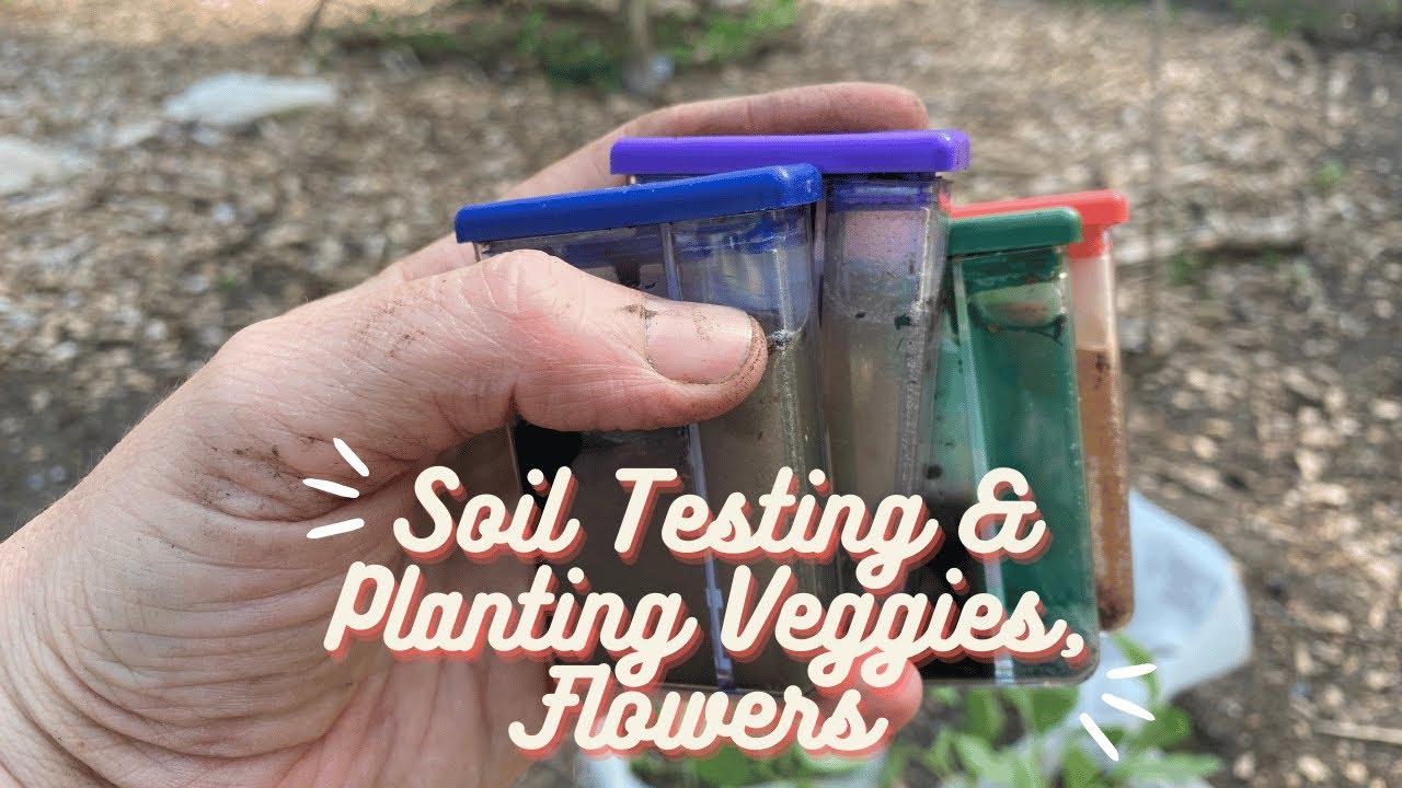 Soil Testing & Planting Cool Veggies, Flowers 💐🌿 - YouTube