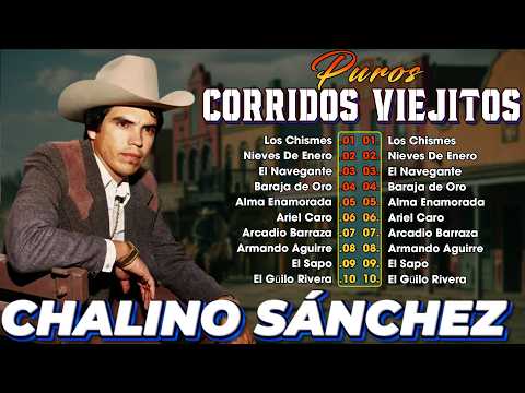 🔥 Chalino Sánchez | Los Mejores Puros Corridos Viejitos 🎶 15 Sus Grandes Éxitos Corridos Nortenos