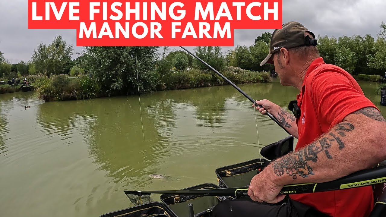 Live Fishing Match Manor Farm Swilland IP6 9LB, #matchfishinguk - YouTube