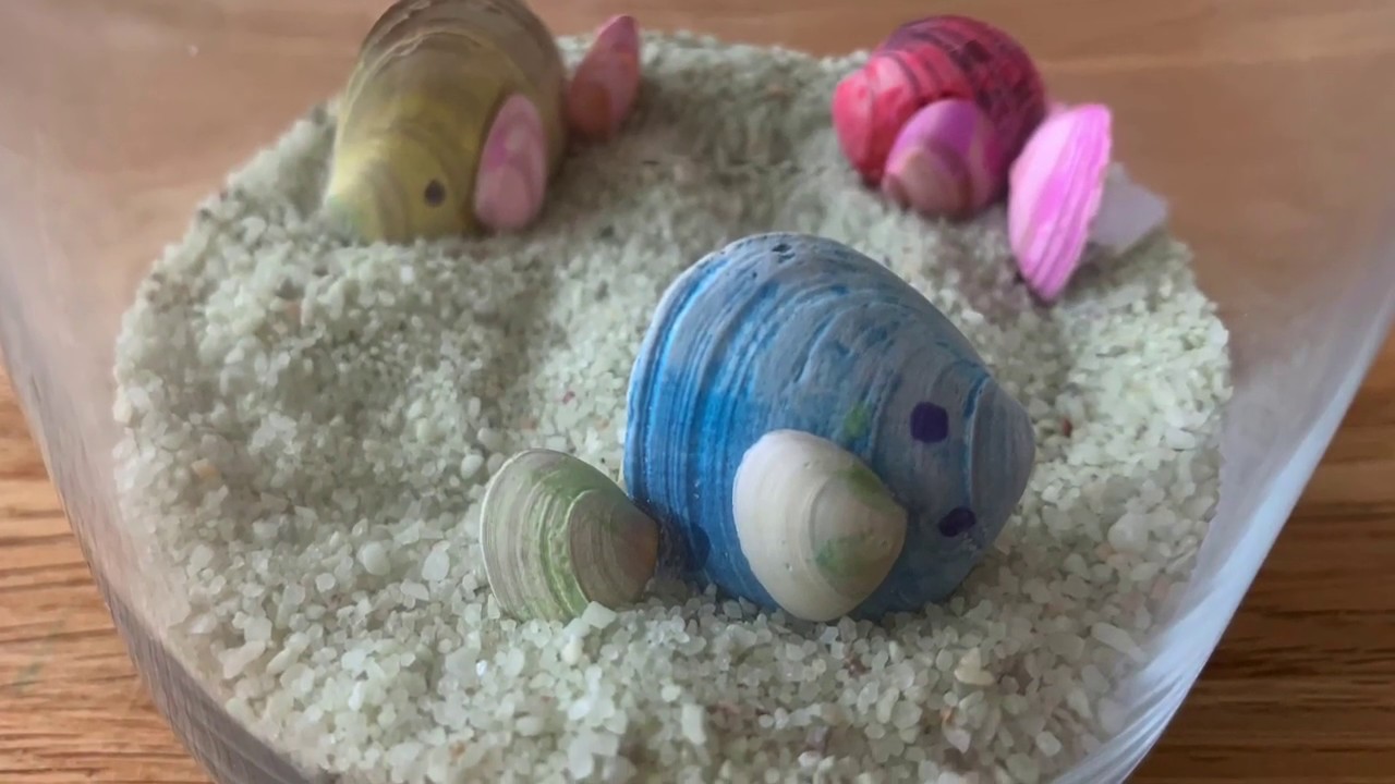 Fish made from shell for display or giveaway || Arts & Crafts for kids ...