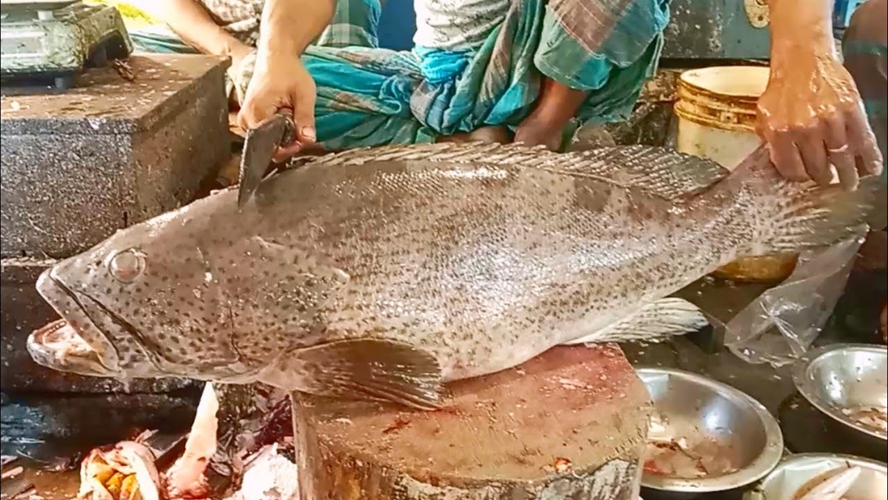Amazing Giant Fish Cutting Skills | Giant Hamour Fish Cutting Live In ...