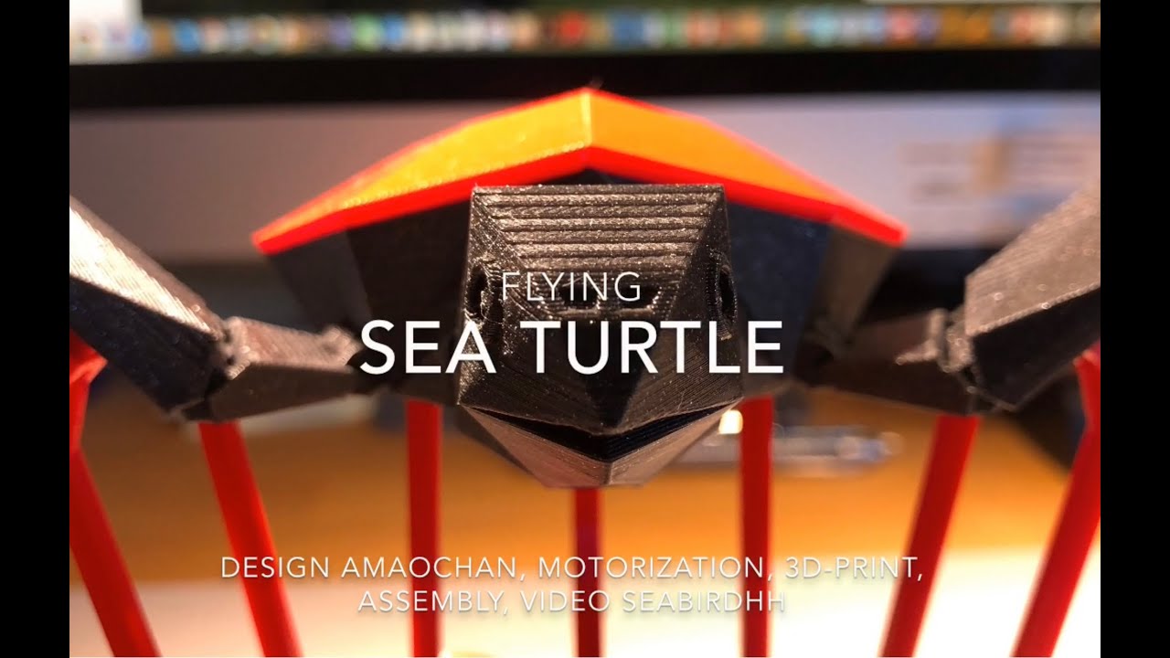 Flying Sea Turtle (motorized) - 3D Printed - YouTube