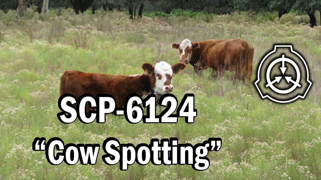 SCP-6124 "Cow Spotting" Euclid [SCP Document Reading] - YouTube