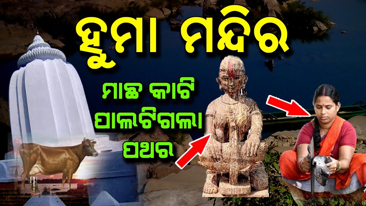 huma temple sambalpur | ମାଛ କାଟି ପଥର ପାଲଟିଗଲା | huma temple mystery ...