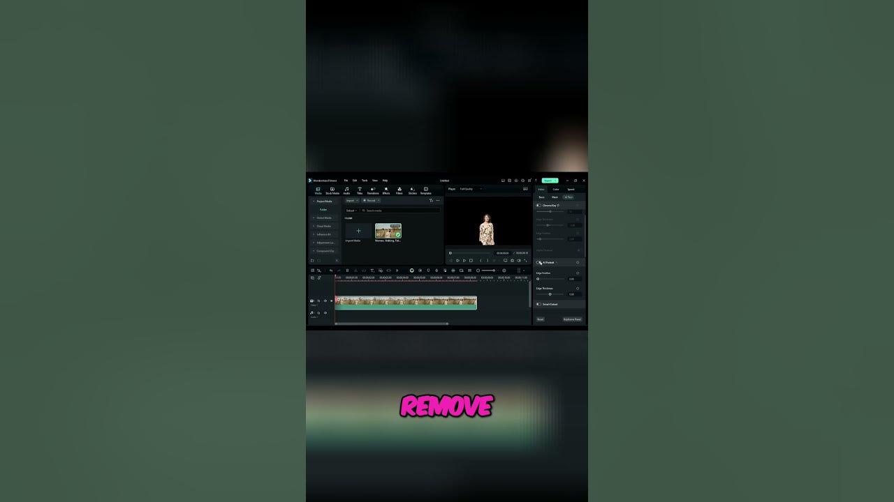 3 Ultimate Ways to Remove Video Backgrounds in Filmora Part1 - YouTube