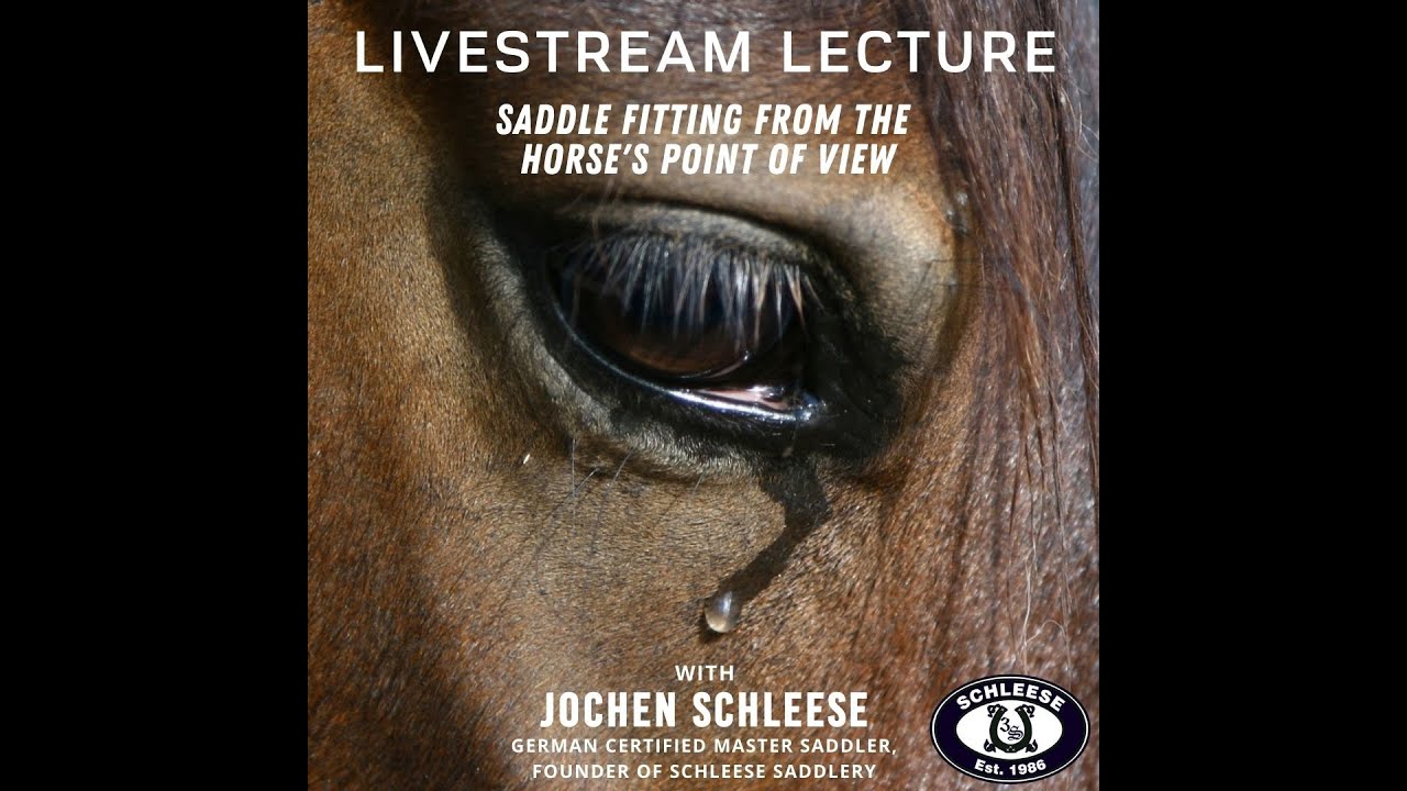 Schleese Livestream Lecture: Saddle Fitting From the Horse's Point of ...