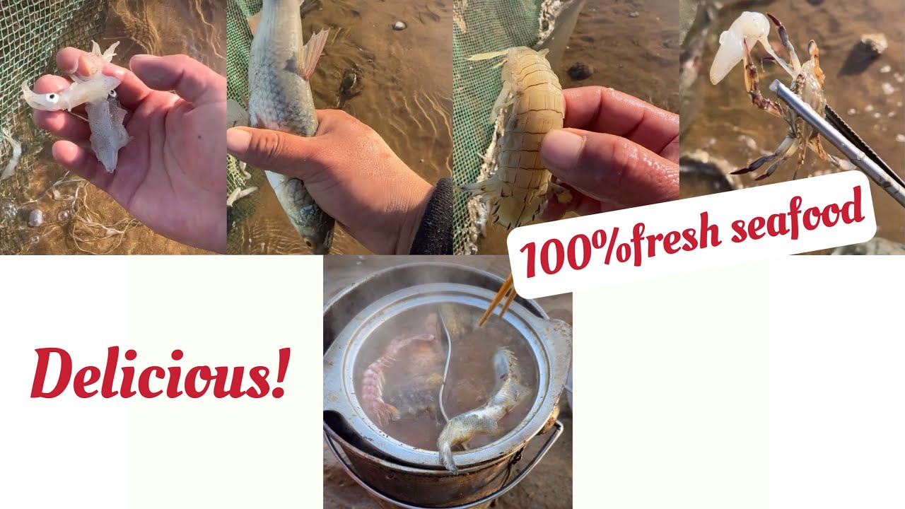 Fisherman pick the 100% fresh seafood on the beach and consumed them on ...