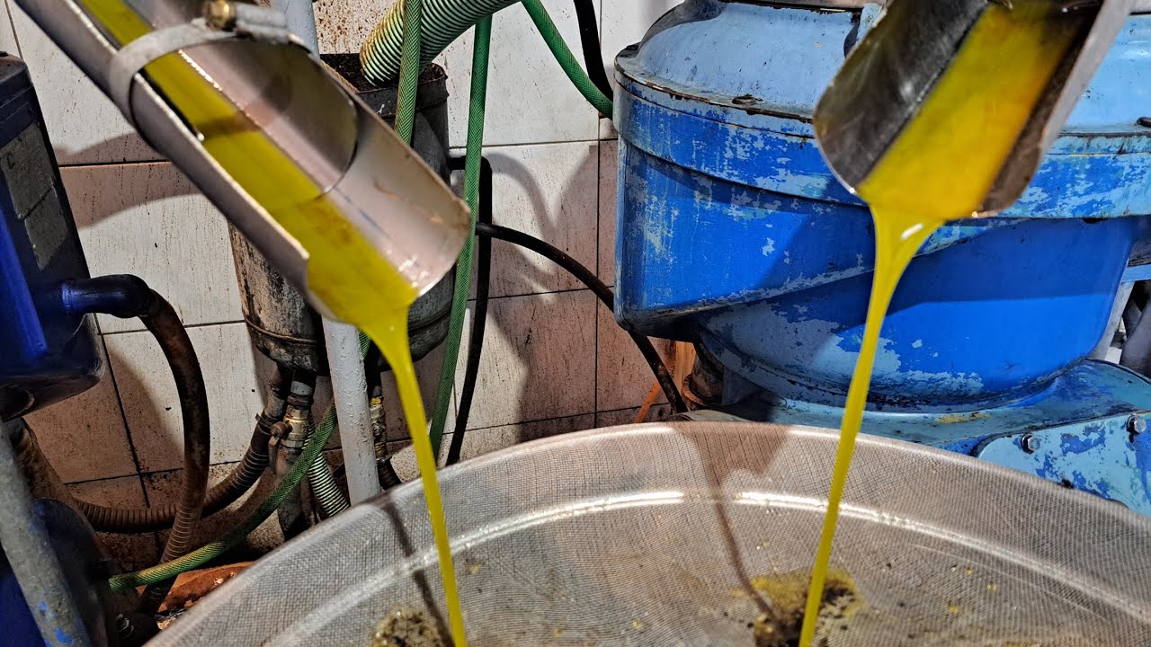 ΒΓΑΛΑΜΕ ΤΟ ΛΑΔΙ ΜΑΣ ΚΑΙ ΦΕΤΟΣ ΣΤΟ ΕΛΑΙΟΤΡΙΒΕΙΟ - YouTube