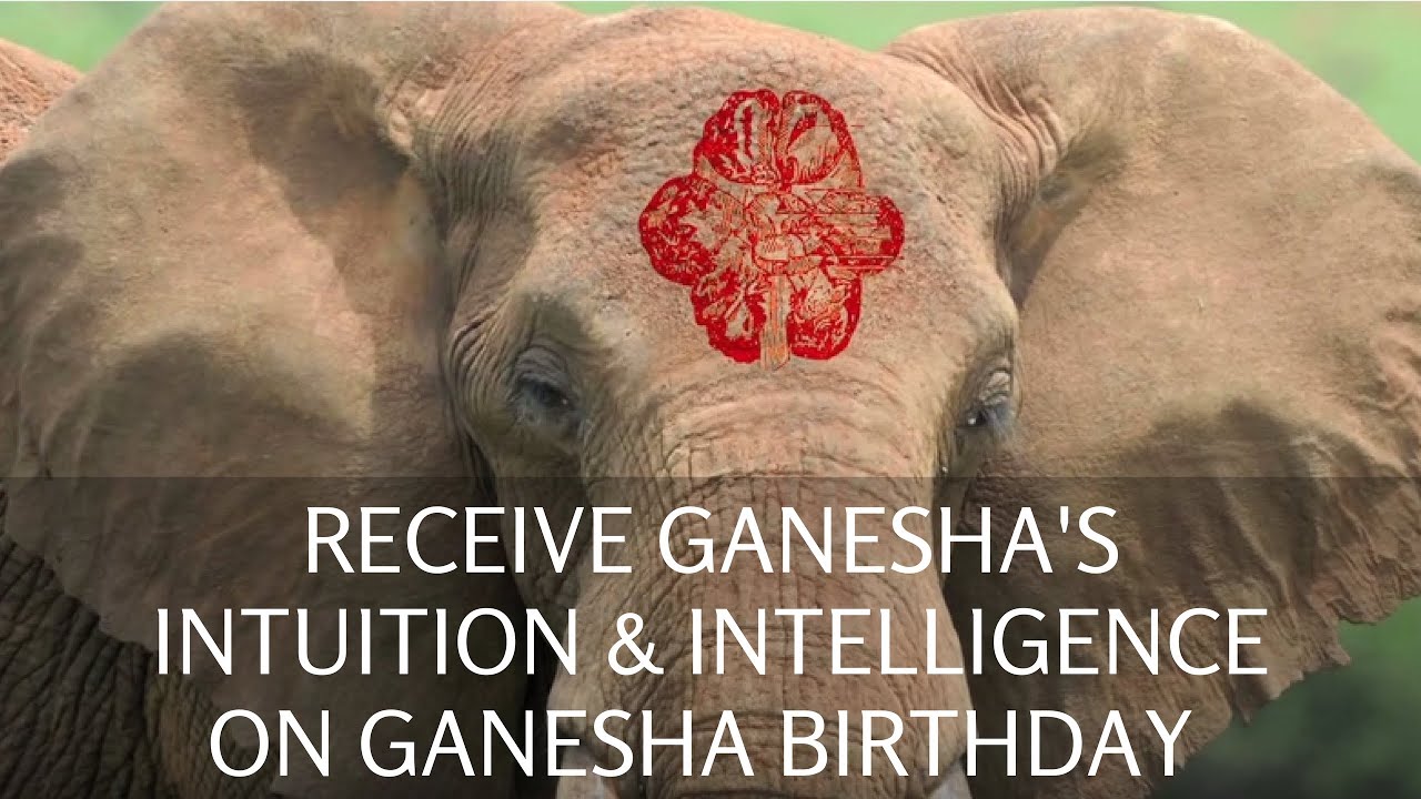 Receive Ganesha's Intuition & Intelligence On Ganesha Birthday - YouTube