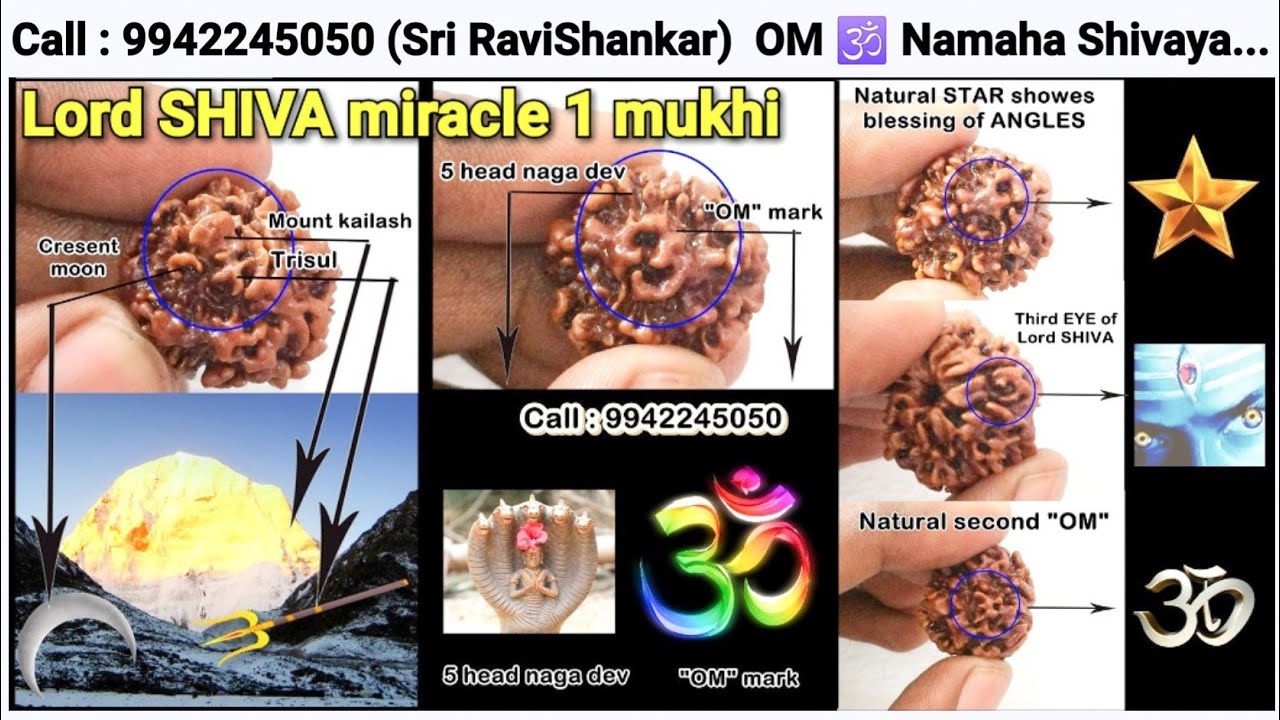 Lord SHIVA miracle mind blowing one mukhi round nepali rudraksha. - YouTube