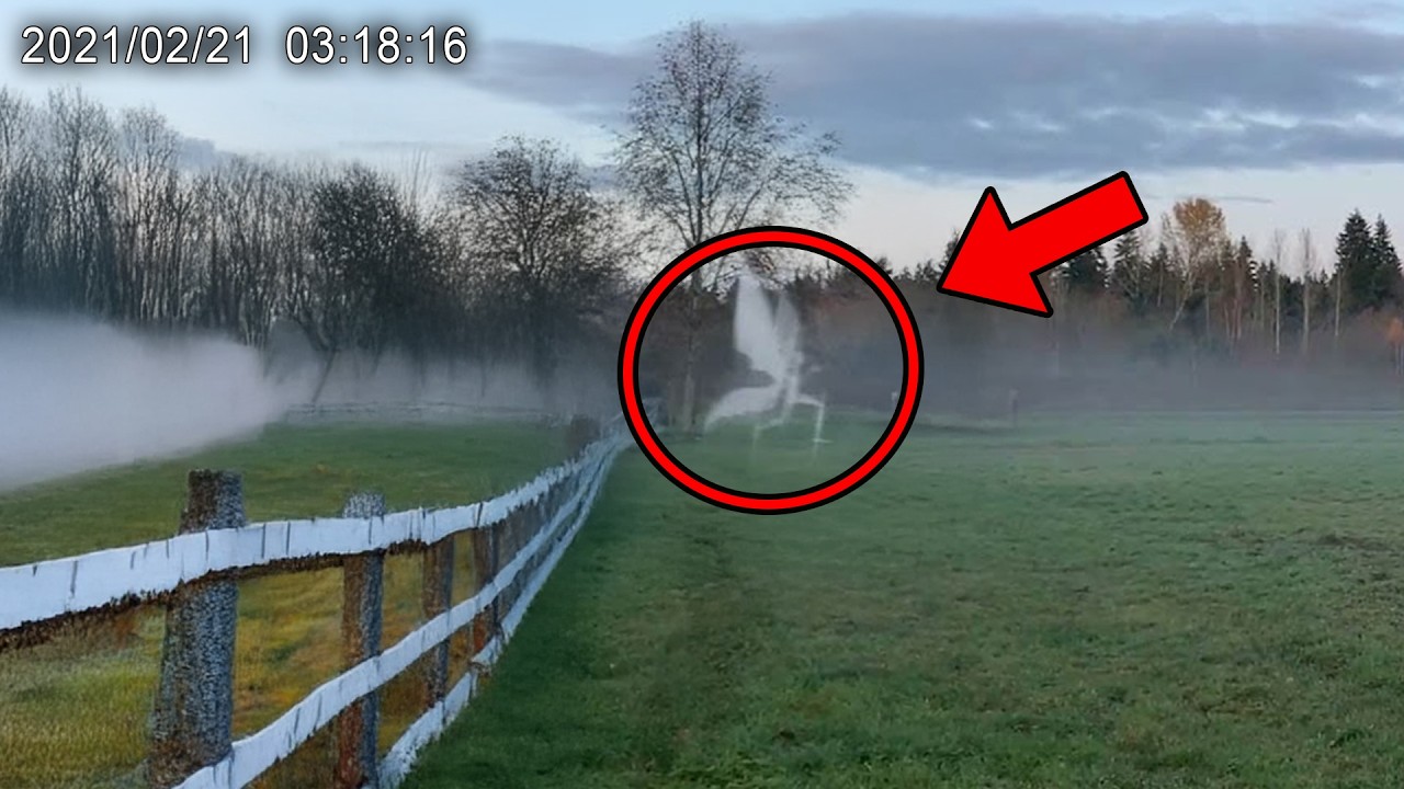 1 Hour of Most TERRIFYING Cryptid and Mythical Creature Encounters ...