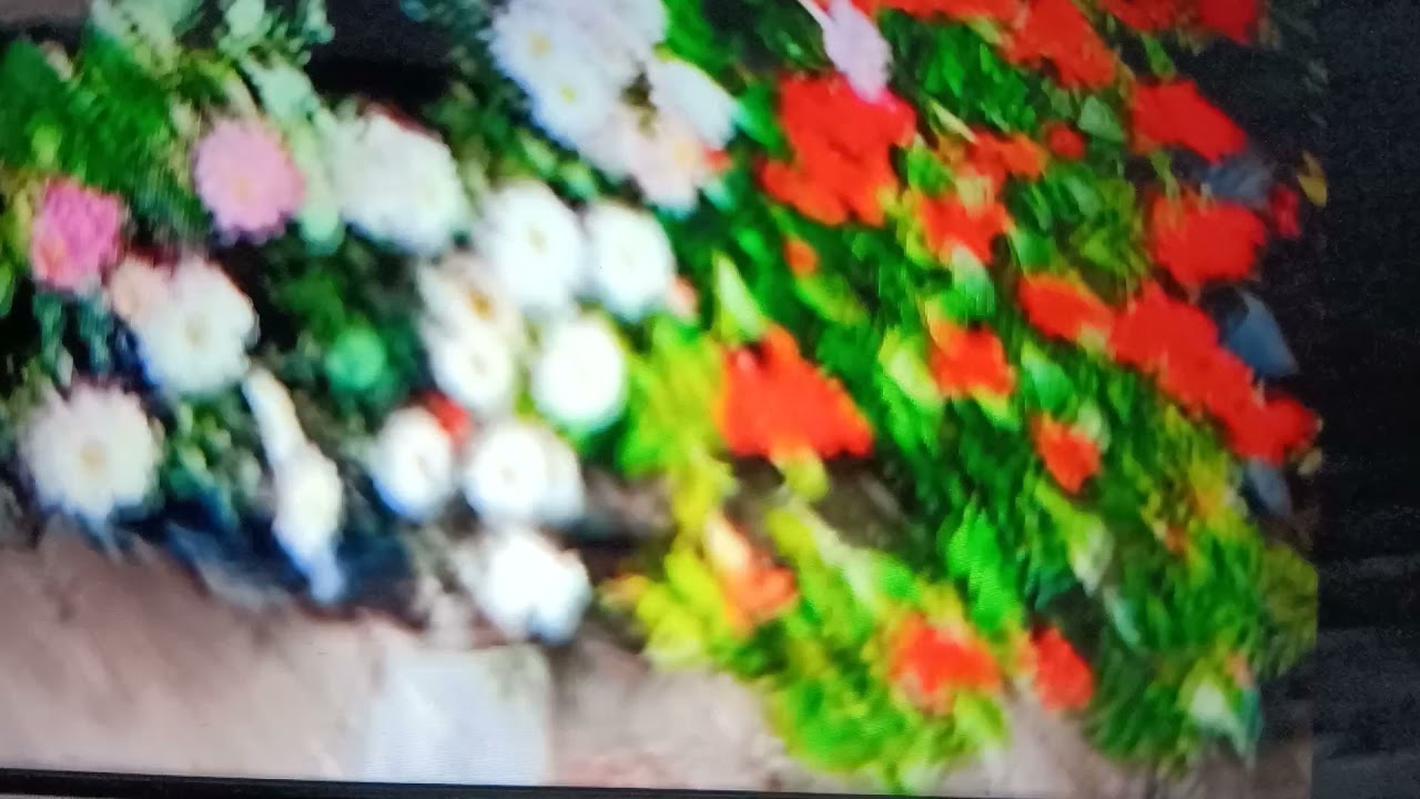 Narsari visit - YouTube