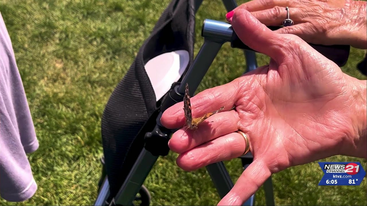 Two hundred people send off butterflies at the Riverbend Park to ...