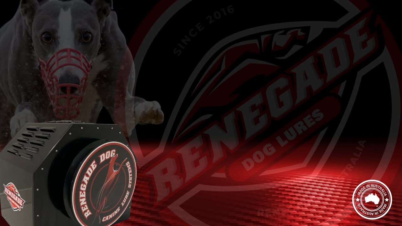 Renegade Dog Lures - YouTube