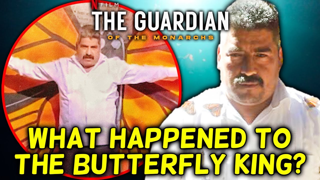 What Happened to The Butterfly King? - The Guardian of The Monarchs ...
