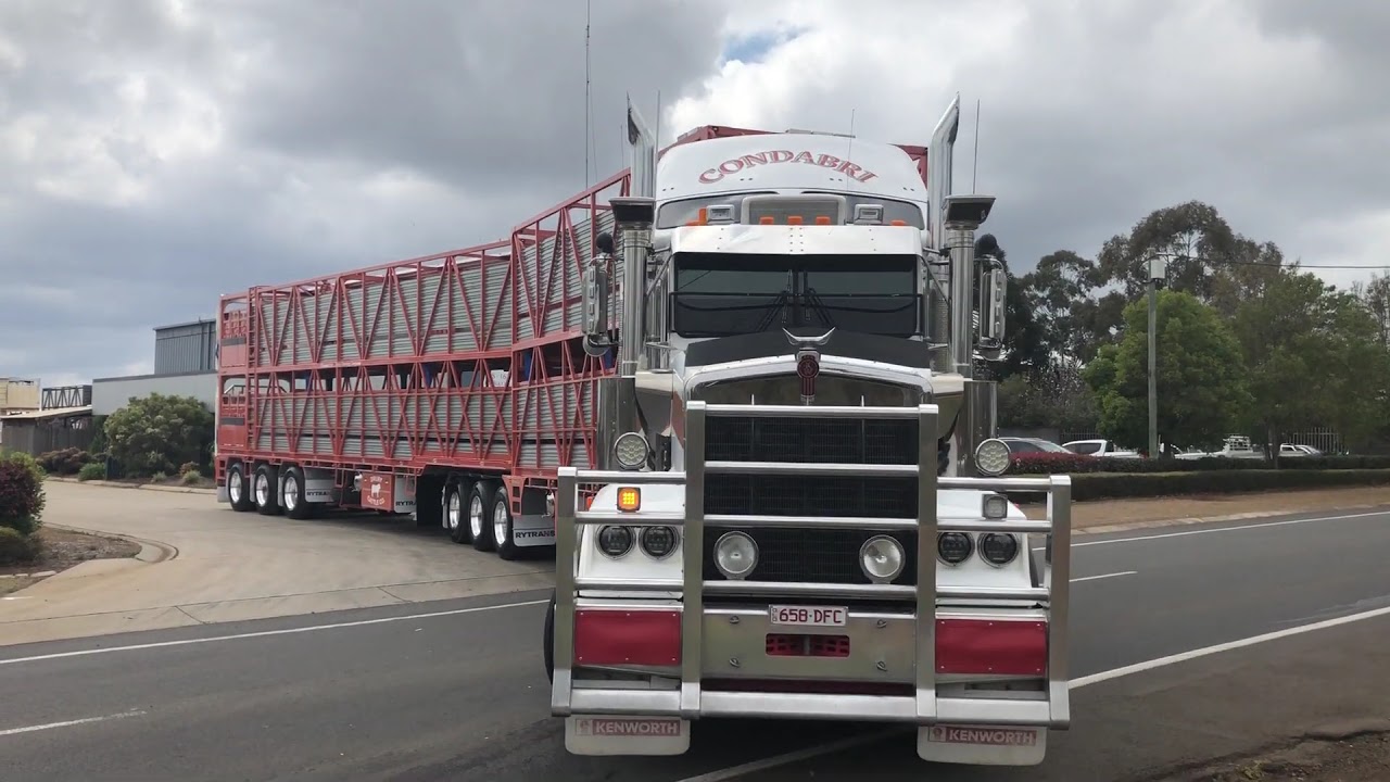 Condabri Feedlot - Rytrans Manufacturing - YouTube