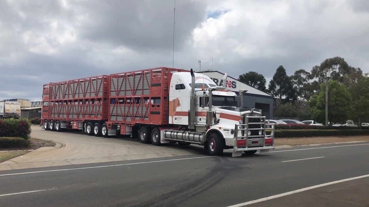 Condabri Feedlot - Rytrans Manufacturing - YouTube