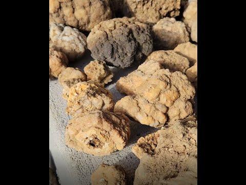 Southwest Missouri Geode Rockhounding - YouTube