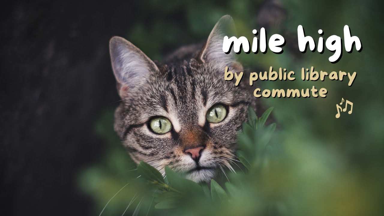 Mile High by Public Library Commute | Chill Music Playlist 🐈 1 Hour ...