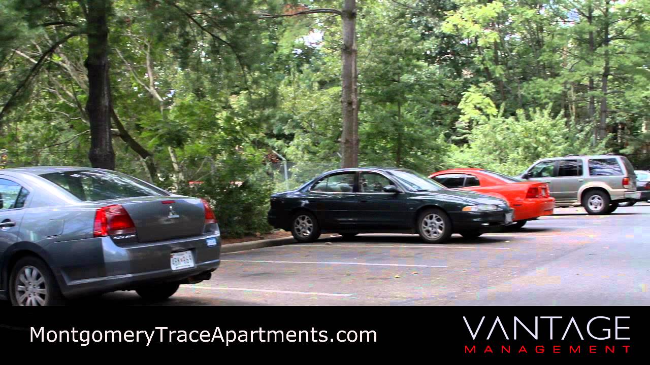 Montgomery Trace Apartment Video Tour - Full. - YouTube
