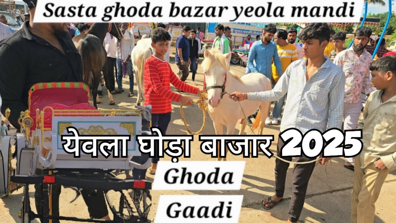 Sabse saste ghode aur pure nukre tattu ghode | ghoda baggi wale mujeeb ...