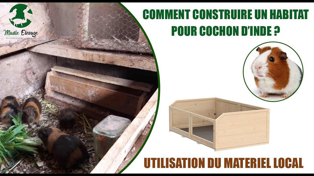 Voici comment concevoir a moindre coûts vos cages d'élevage pour cochon ...