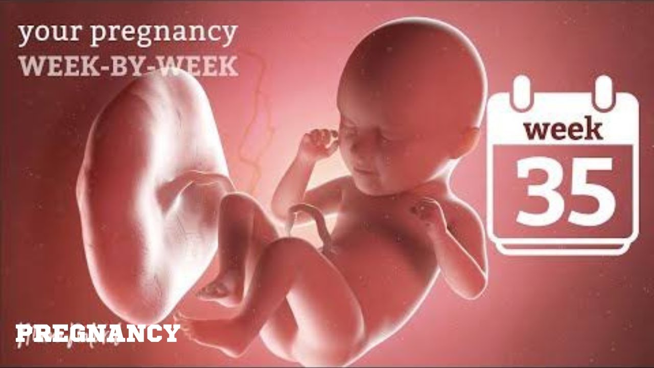 WEEK BY WEEK 35th PREGNANCY | @Dr. Abdiaziz - YouTube