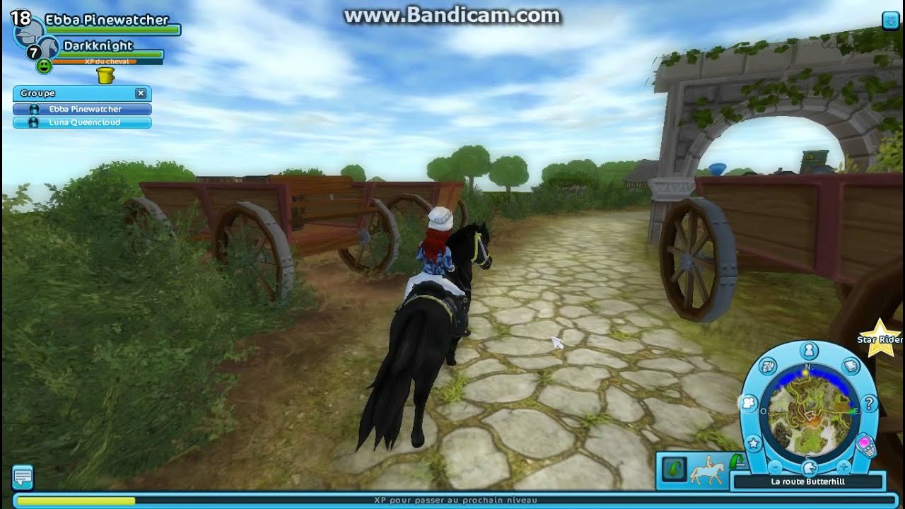 Star Stable / mission "un amour éternel" 1ère partie - YouTube