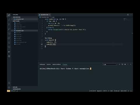 How to use Dart Exception Details | Larnr Education - YouTube
