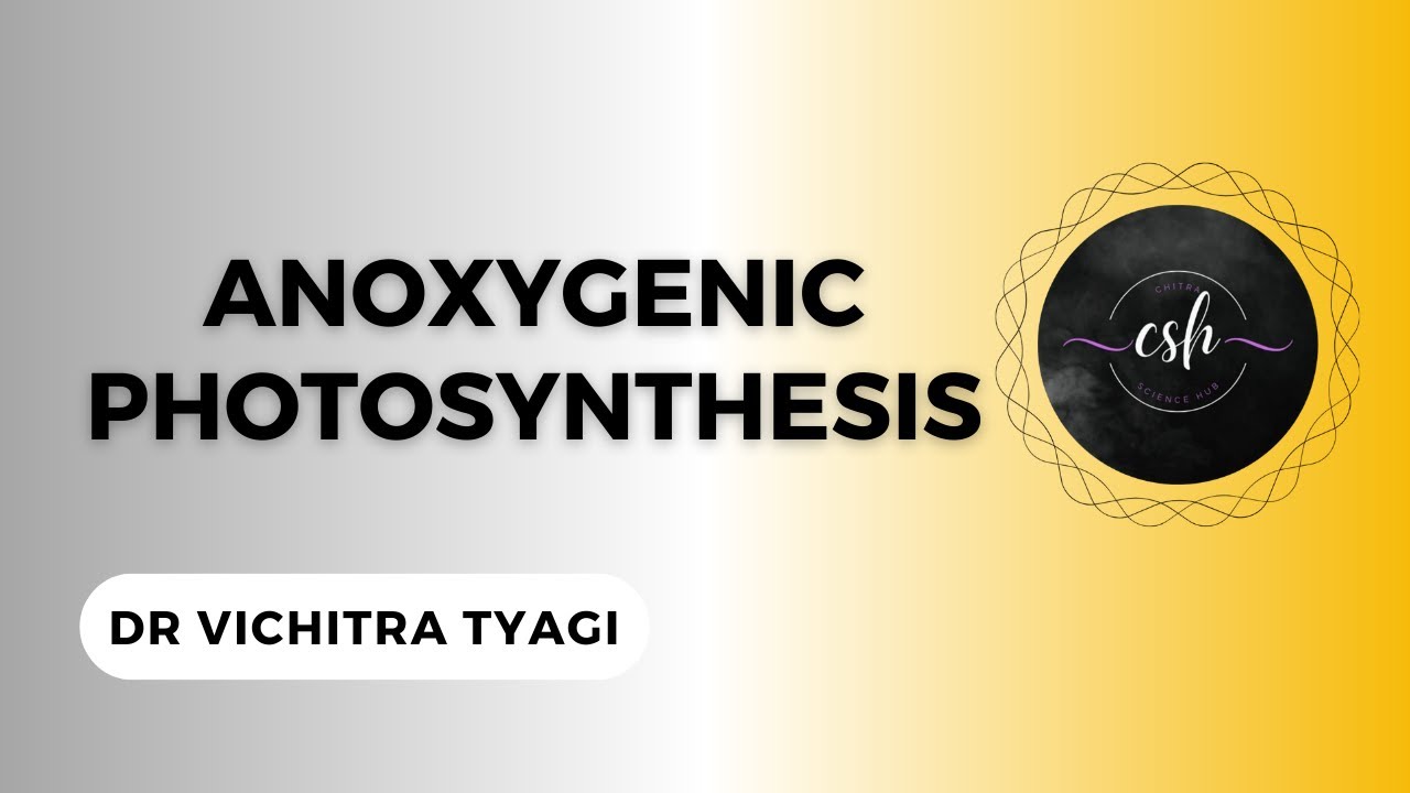 ANOXYGENIC PHOTOSYNTHESIS (PURPLE SULFUR BACTERIA, GREEN SULFUR ...