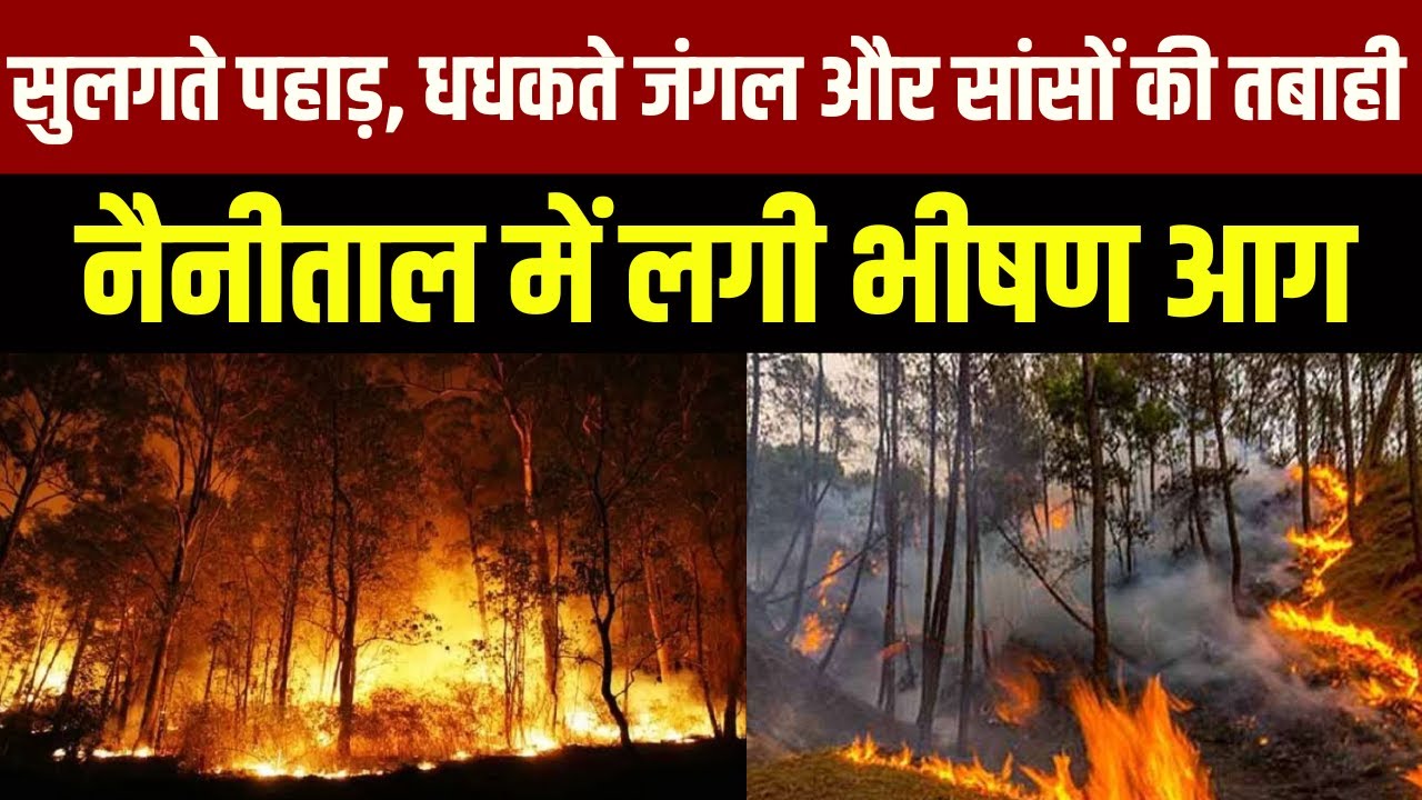 Nainital Fire News: जंगलों में लगी भीषण आग बेकाबू | Uttarakhand Forest ...