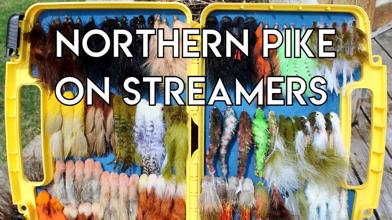 Pike on Streamers - YouTube